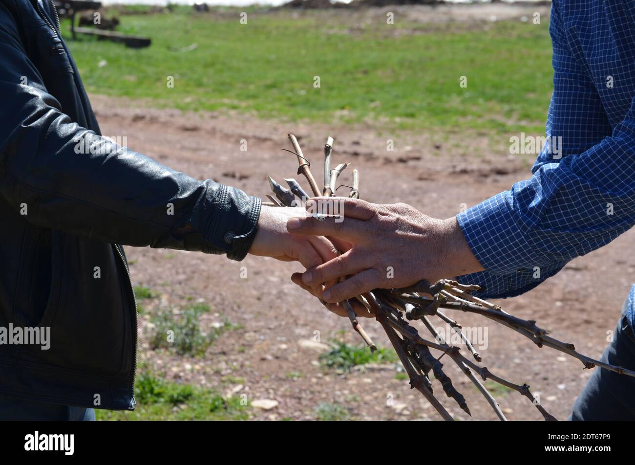 Dagdere hi-res stock photography and images - Alamy