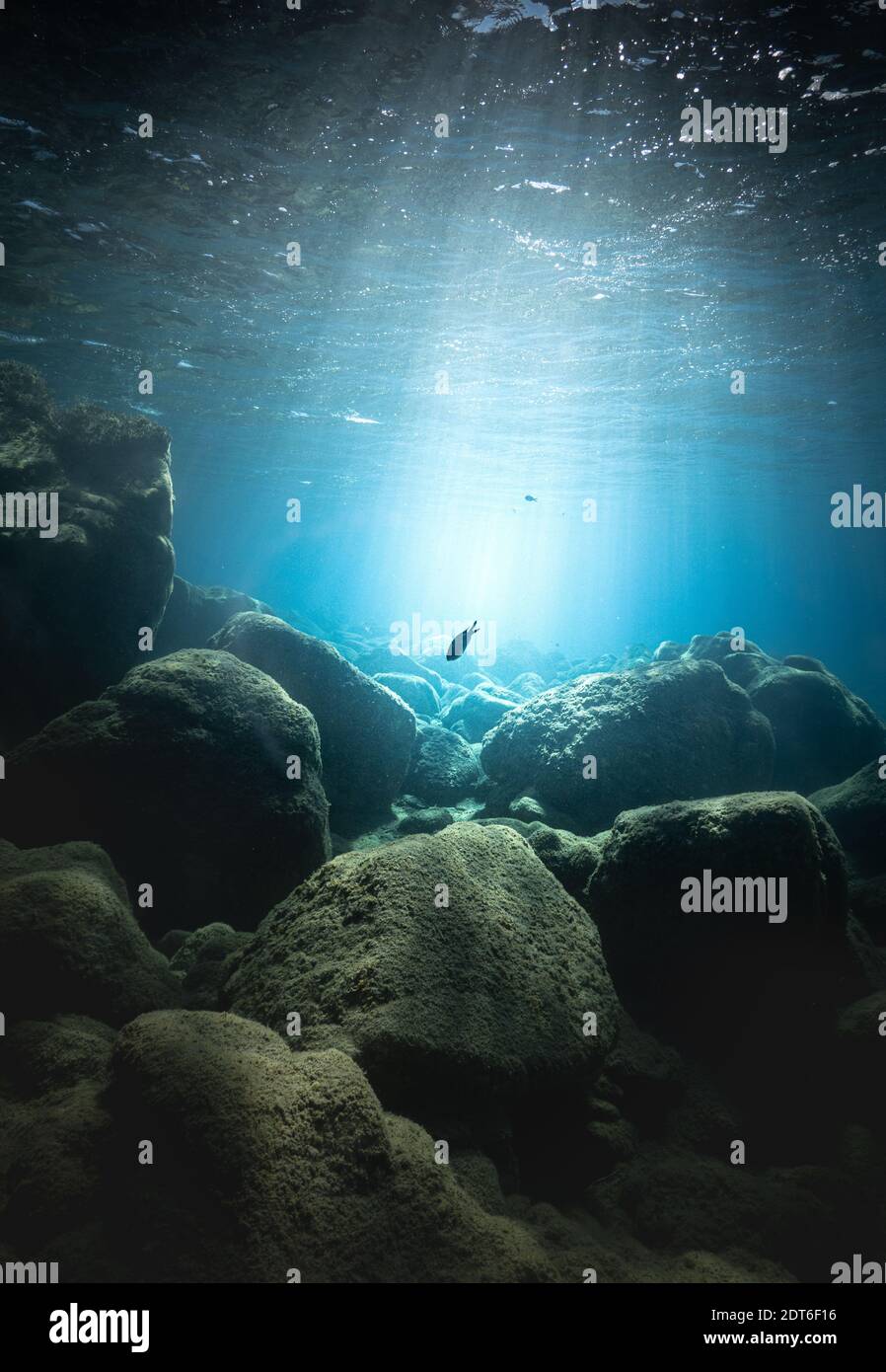 Underwater stones hi-res stock photography and images - Alamy