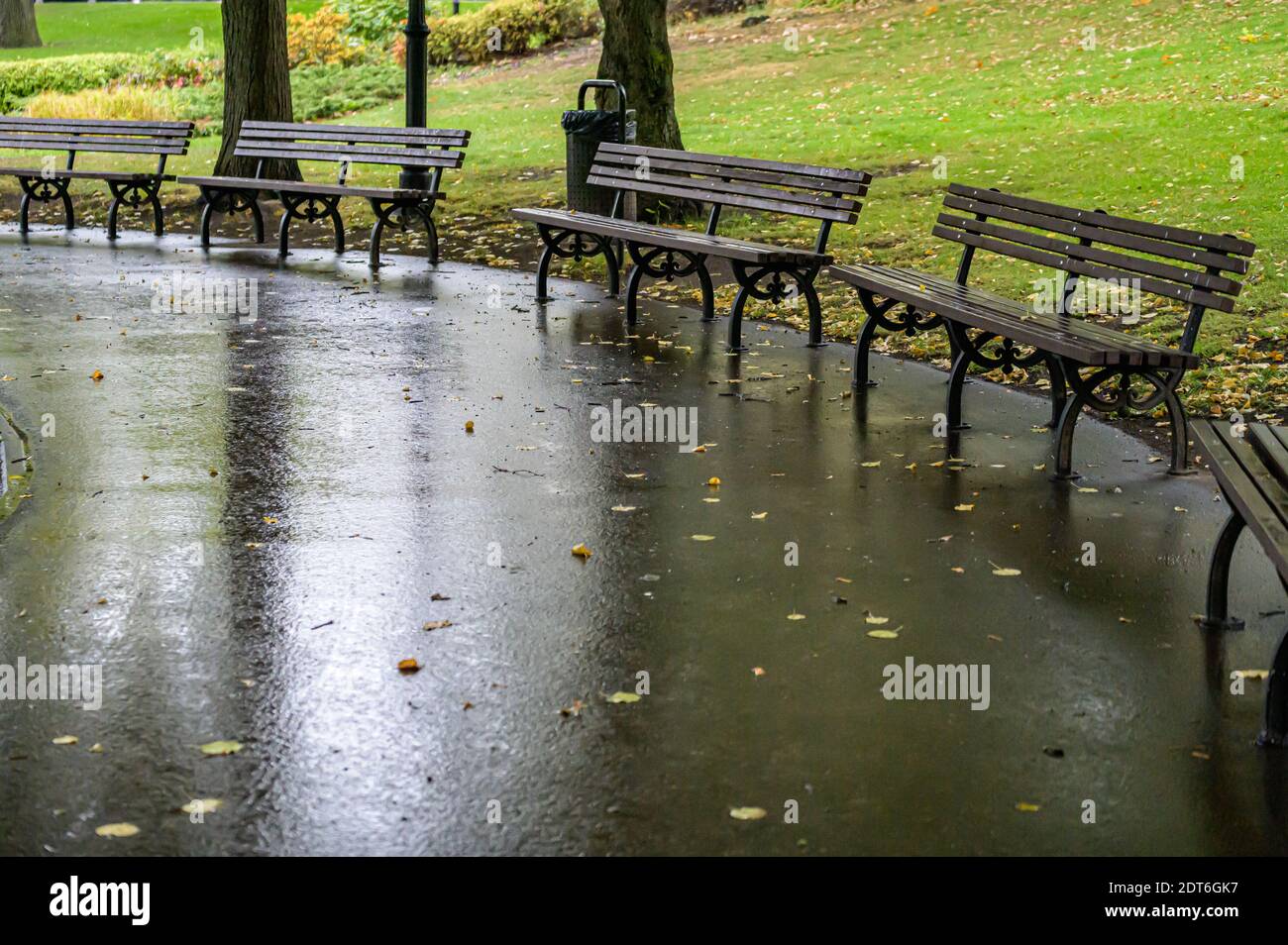 empty park benches in the rain. Autumn city park with wet asphalt Stock ...