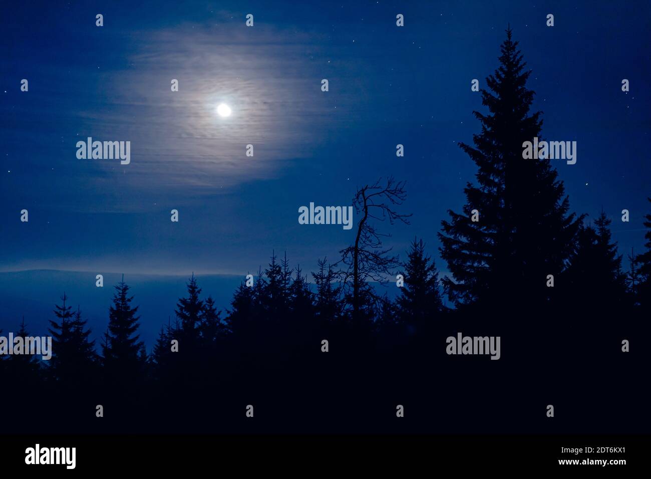 Midnight moon with silhouette of forrest Stock Photo - Alamy
