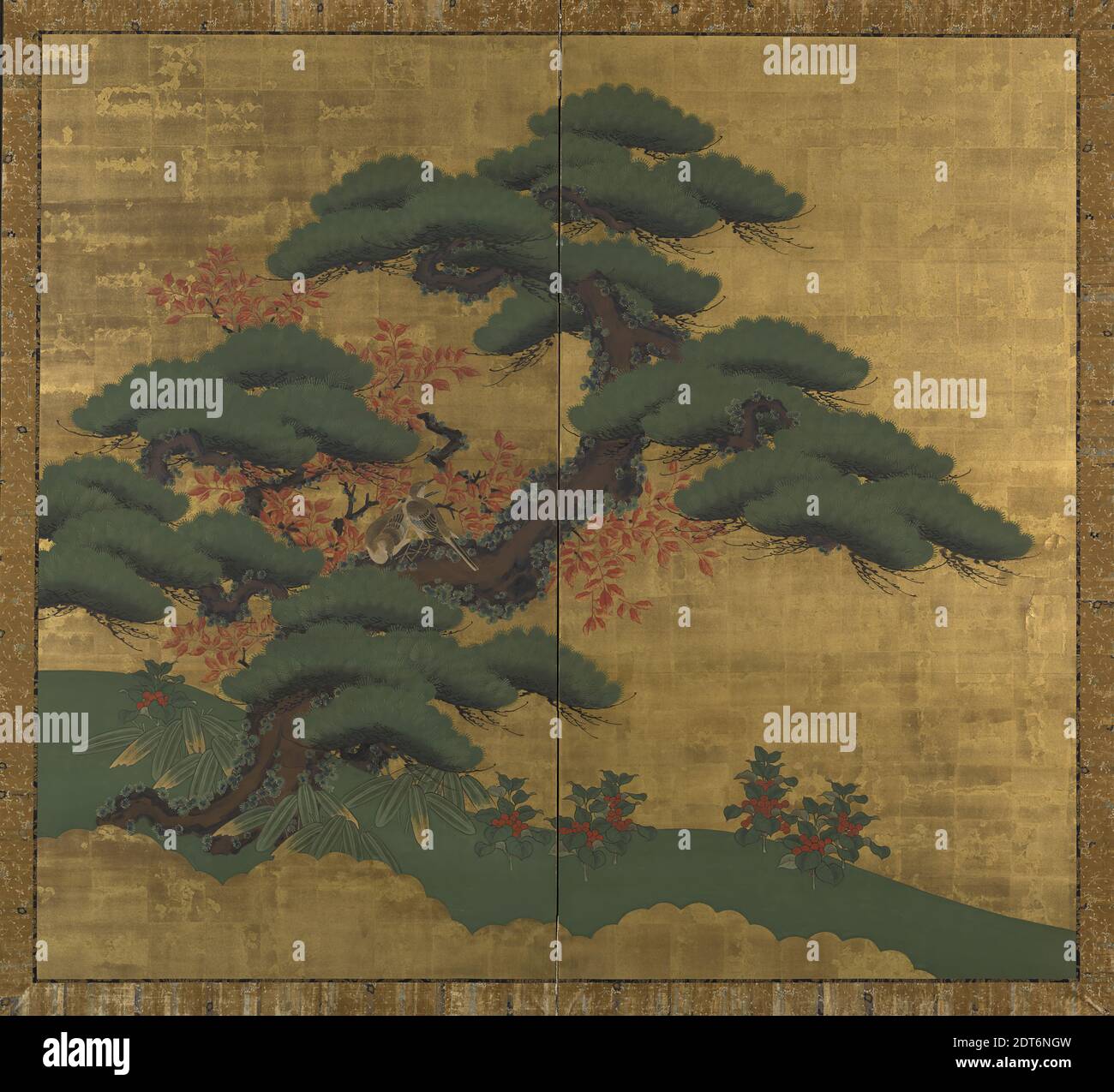 Japanese pine trees hi-res stock photography and images - Alamy