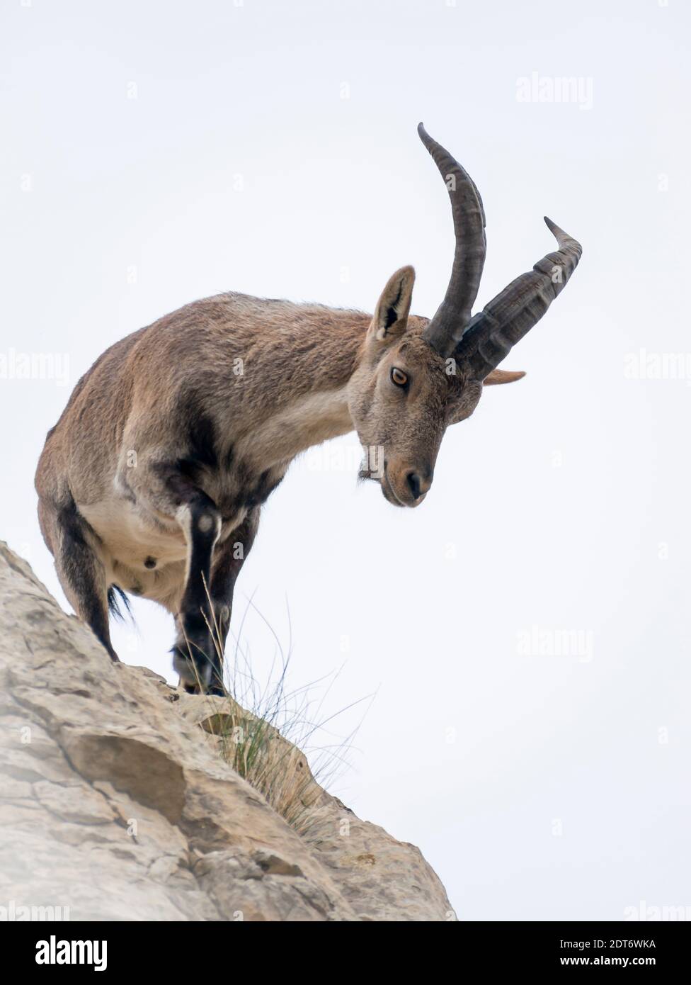 Península ibérica hi-res stock photography and images - Alamy