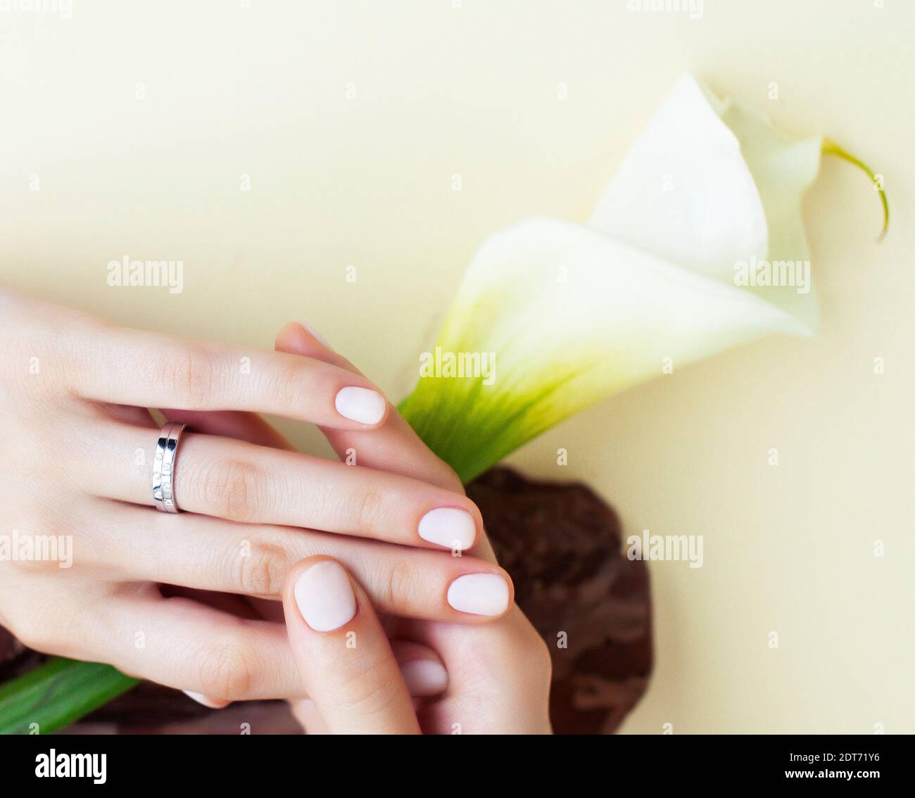 pretty perfect woman hands with white manicure and big flower on ...