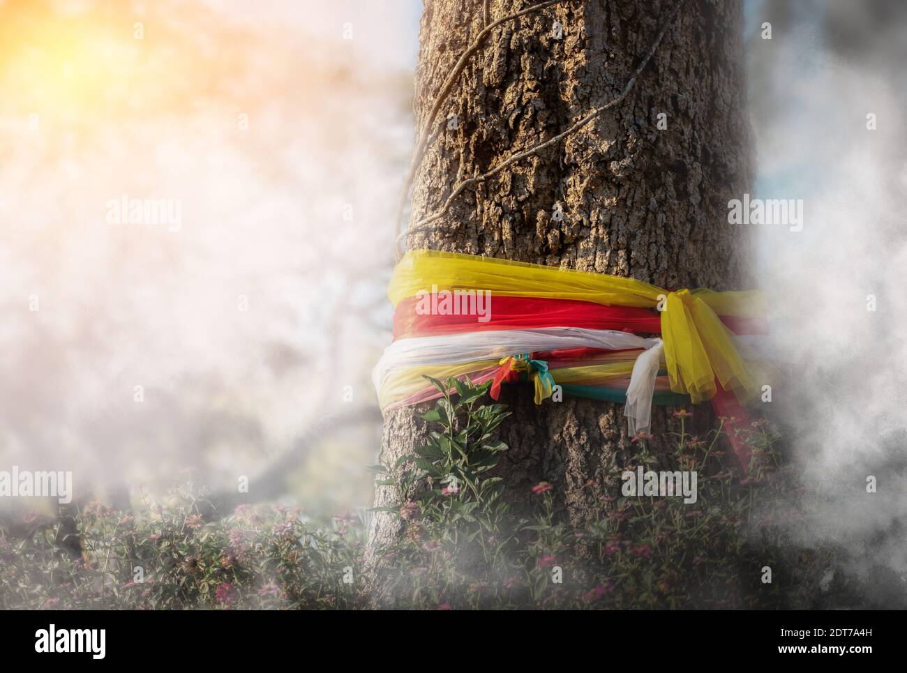 Cloth tied around tree hi-res stock photography and images - Alamy