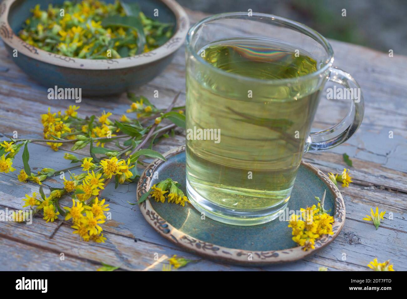 Medicinal flowers hi-res stock photography and images - Alamy