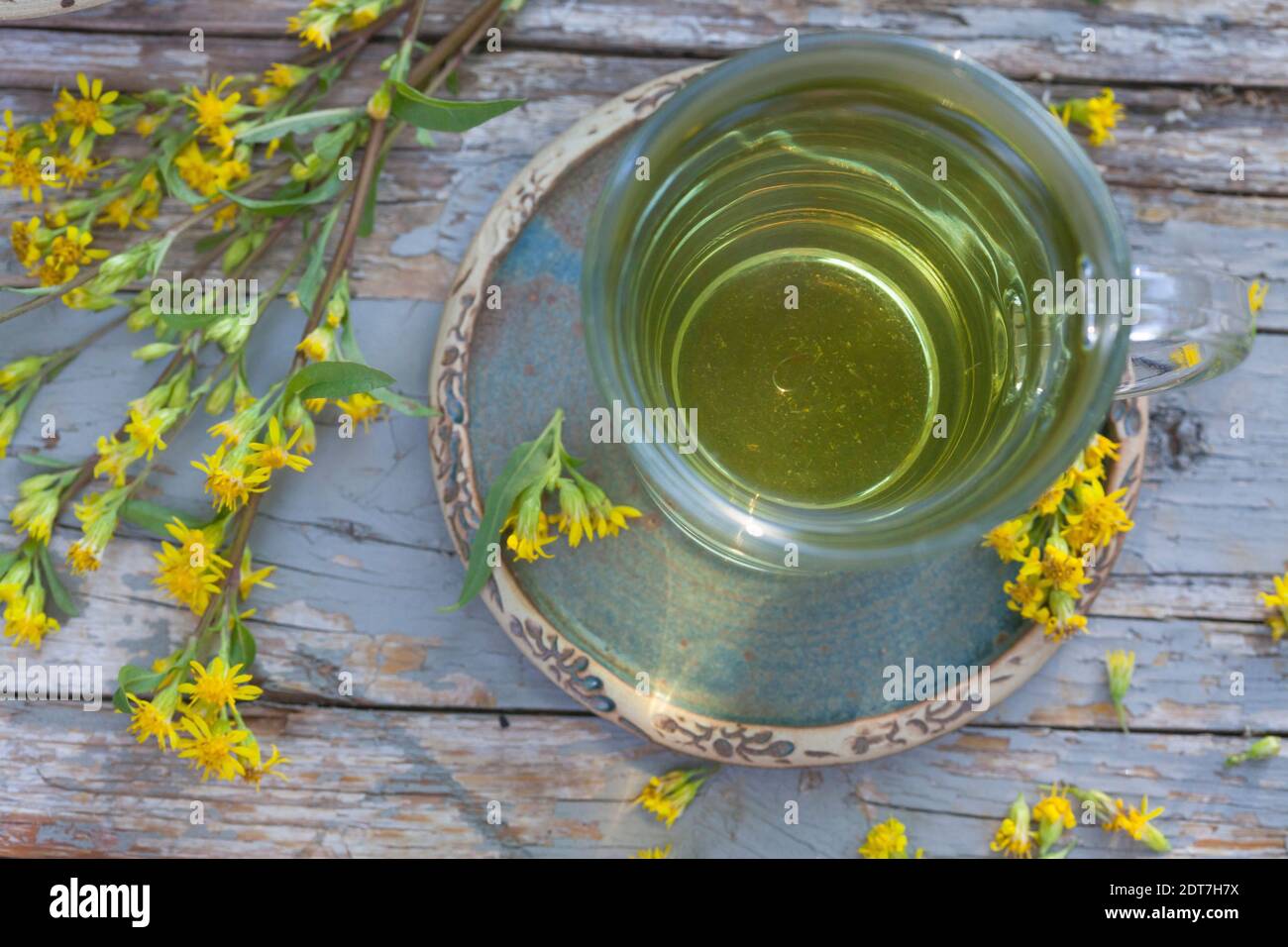 Medicinal flowers hi-res stock photography and images - Alamy