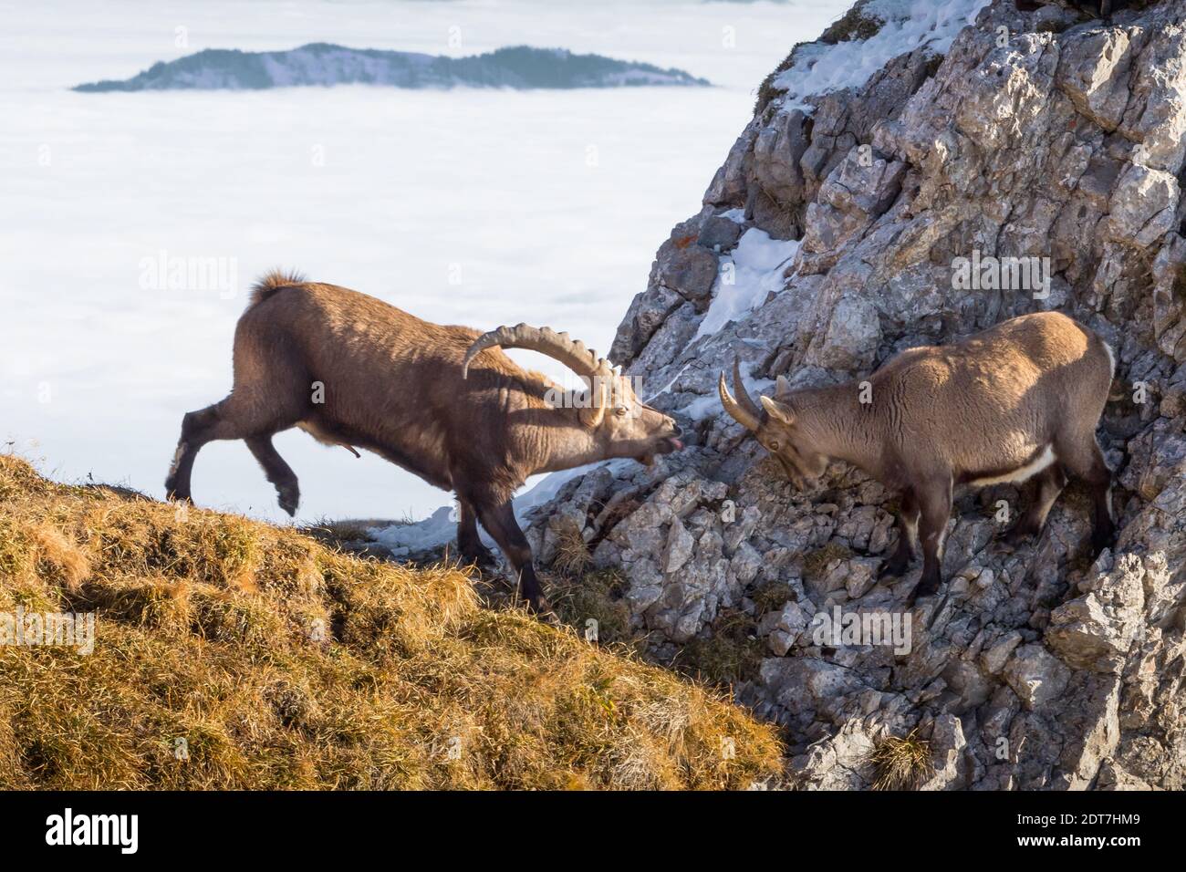 Kanton luzern hi-res stock photography and images - Alamy