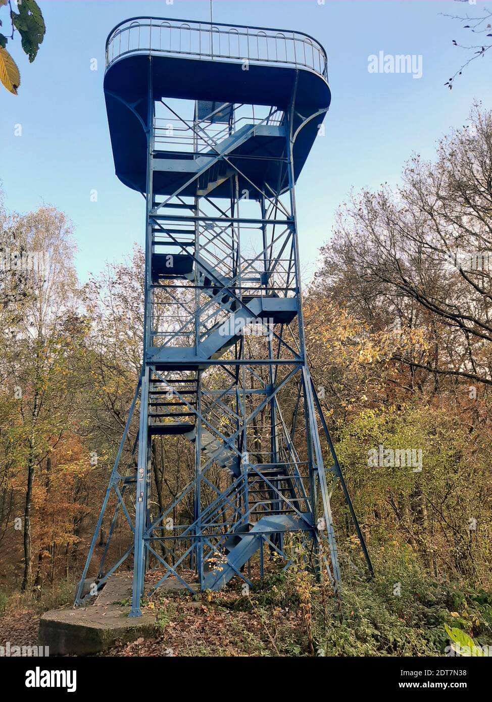 Lookout towers forest hi-res stock photography and images - Alamy