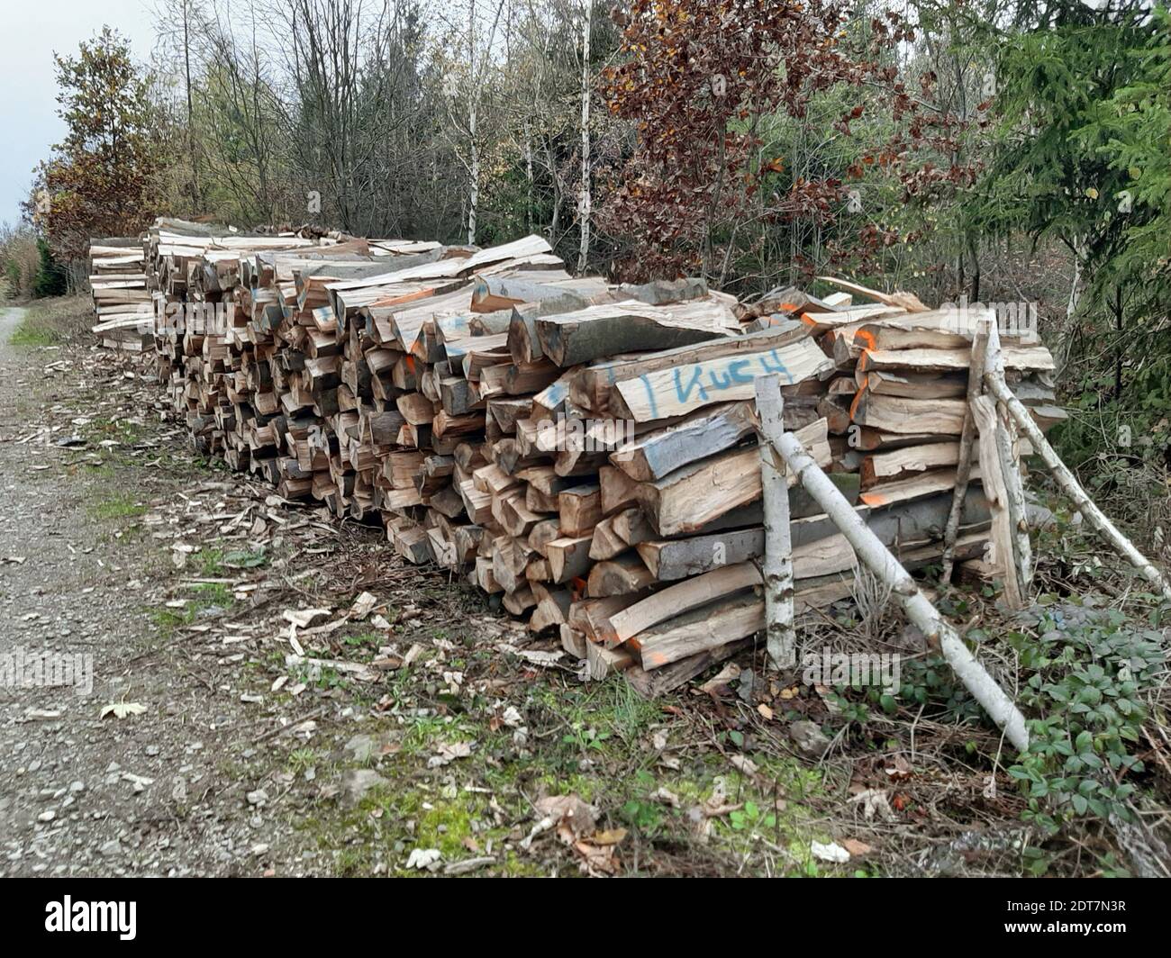 Storage place for wood logs hi-res stock photography and images - Alamy