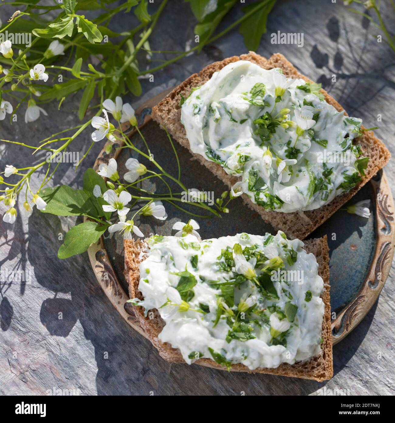 large bitter-cress, large Bittercress (Cardamine amara), bread slice ...