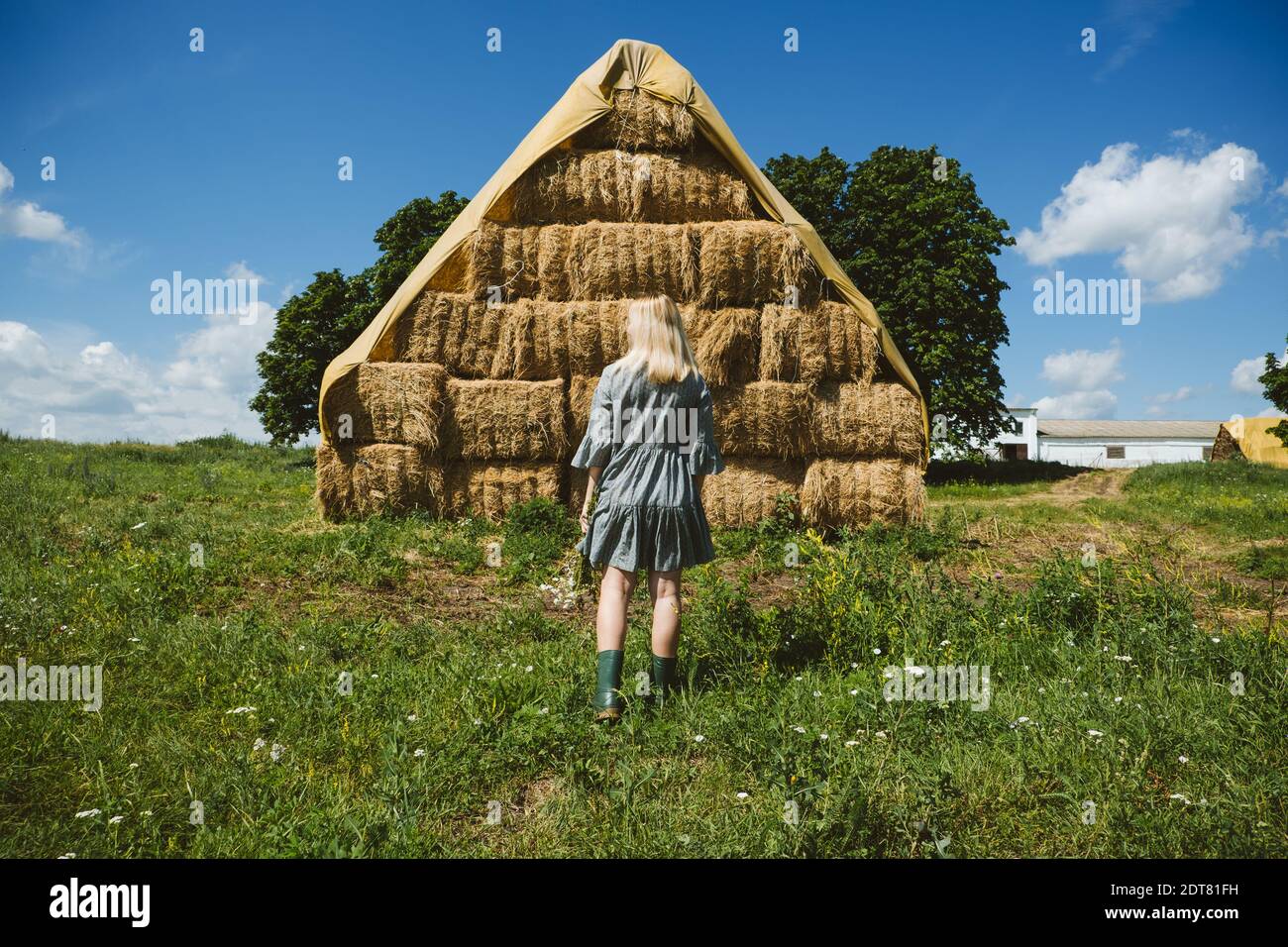 Cottagecore, Countryside aesthetics, Farming, Farmcore, Countrycore ...