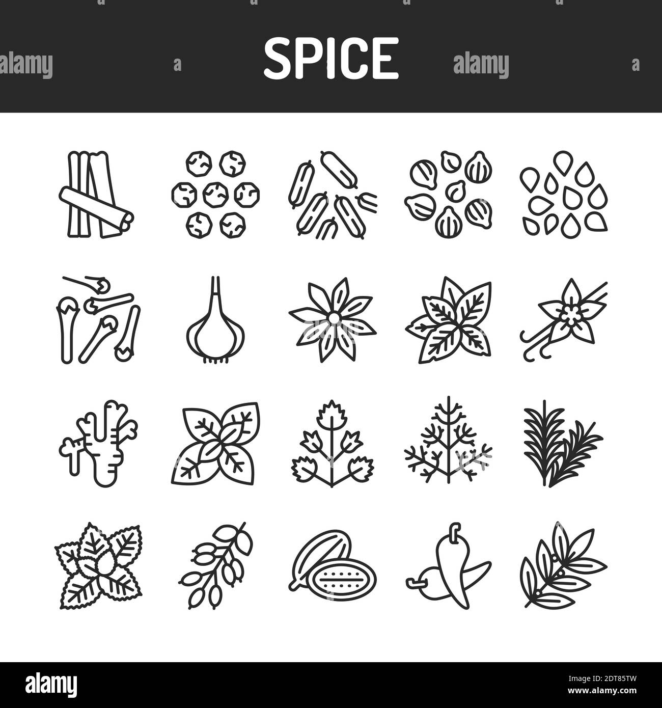 Herbs spices drawing Stock Vector Images - Alamy