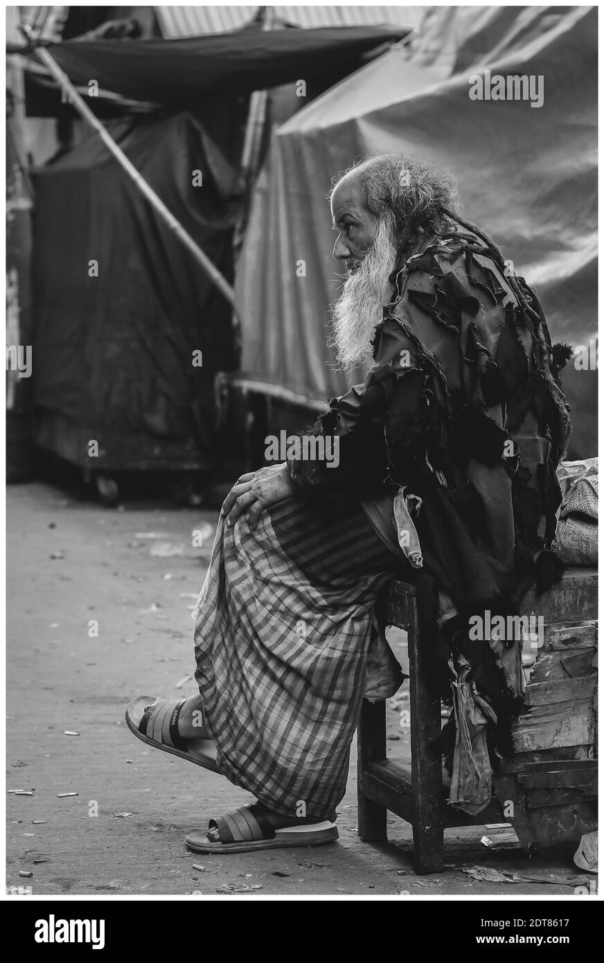 Indian primate Cut Out Stock Images & Pictures - Alamy