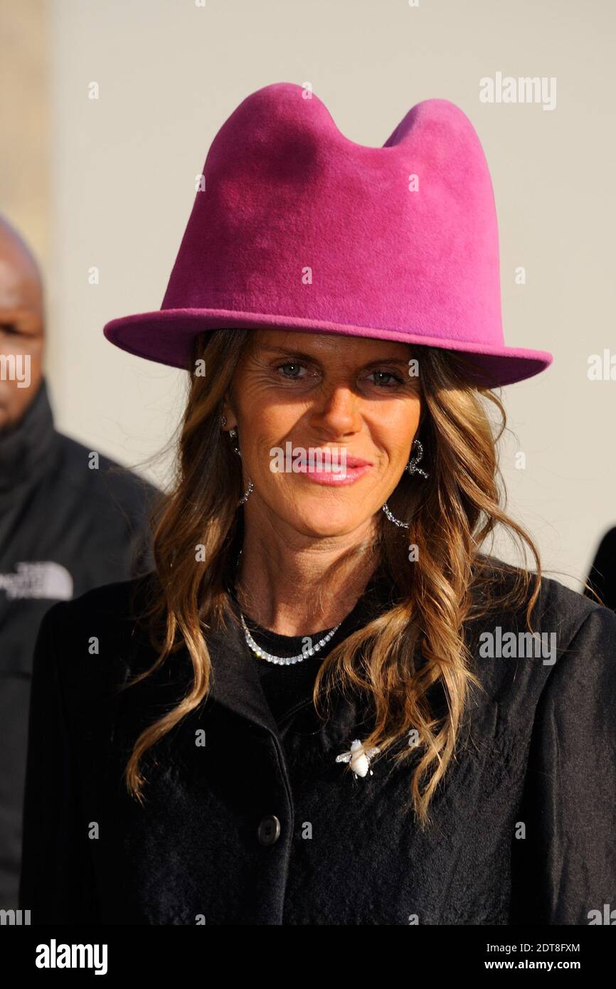 Anna Dello Russo arriving for the Louis Vuitton Fall-Winter 2014/2015 ...