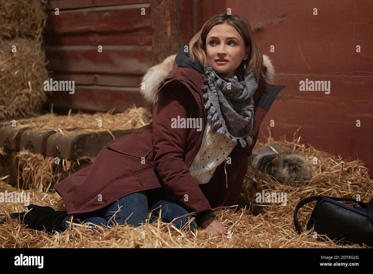 CROSS COUNTRY CHRISTMAS, Rachel Leigh Cook, (aired Dec. 12, 2020). ph ...