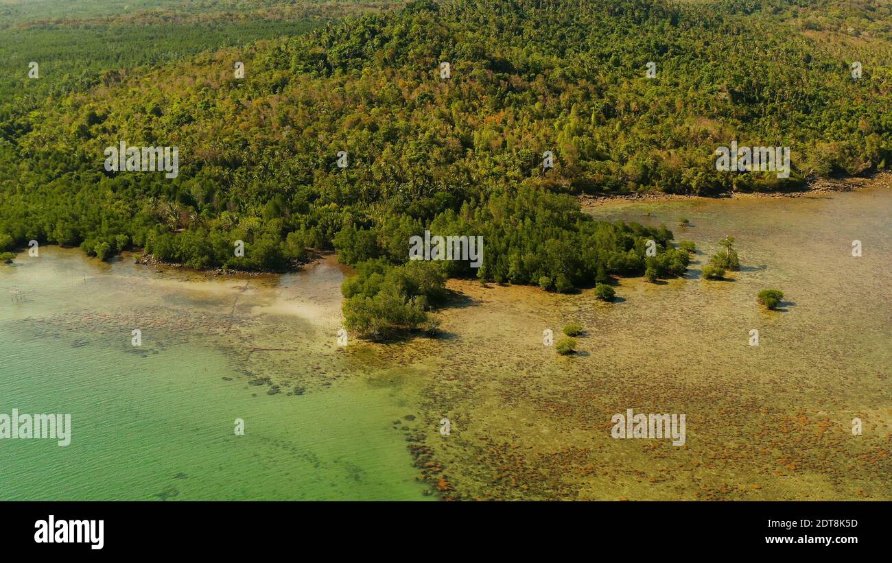 Tropical island covered with jungle and forest, river with mangroves ...