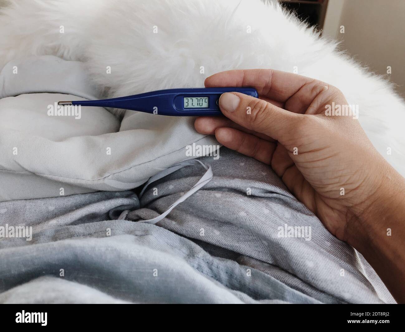 Body temperature scan hi-res stock photography and images - Alamy