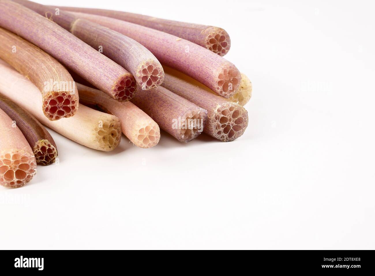 Renkon hi-res stock photography and images - Alamy