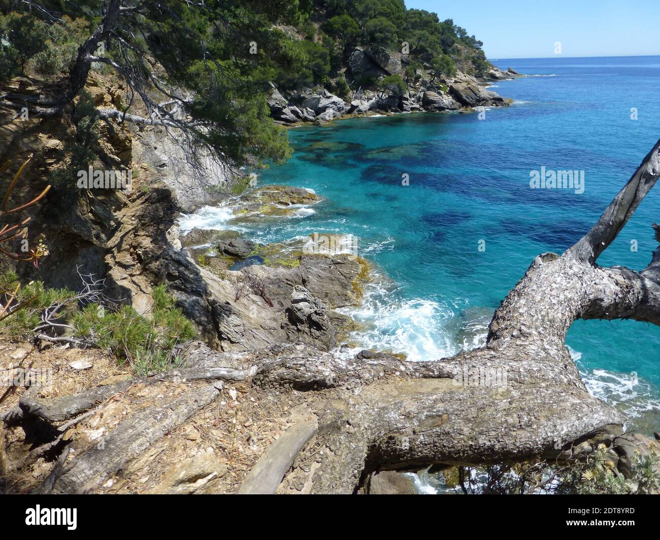 Rayol Canadel Sur Mer High Resolution Stock Photography and Images - Alamy