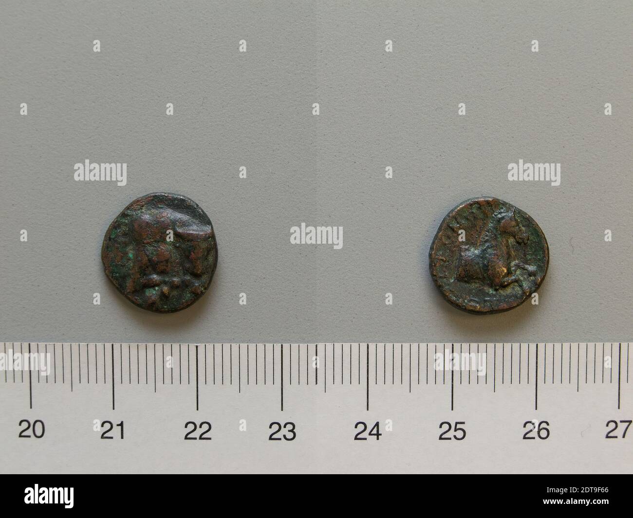 Teisiphorus hi-res stock photography and images - Alamy