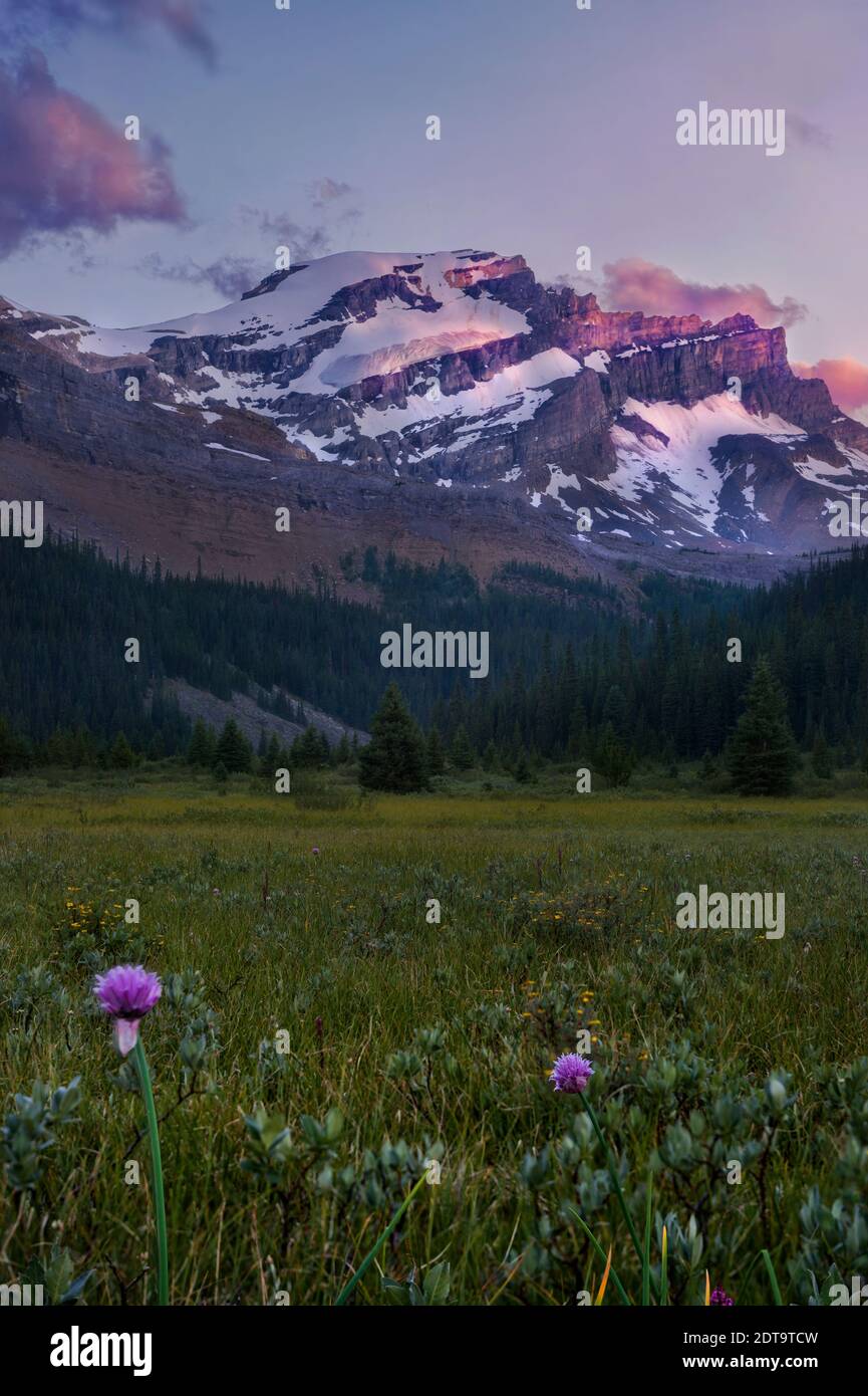 Merlin lake banff national park hi-res stock photography and images - Alamy