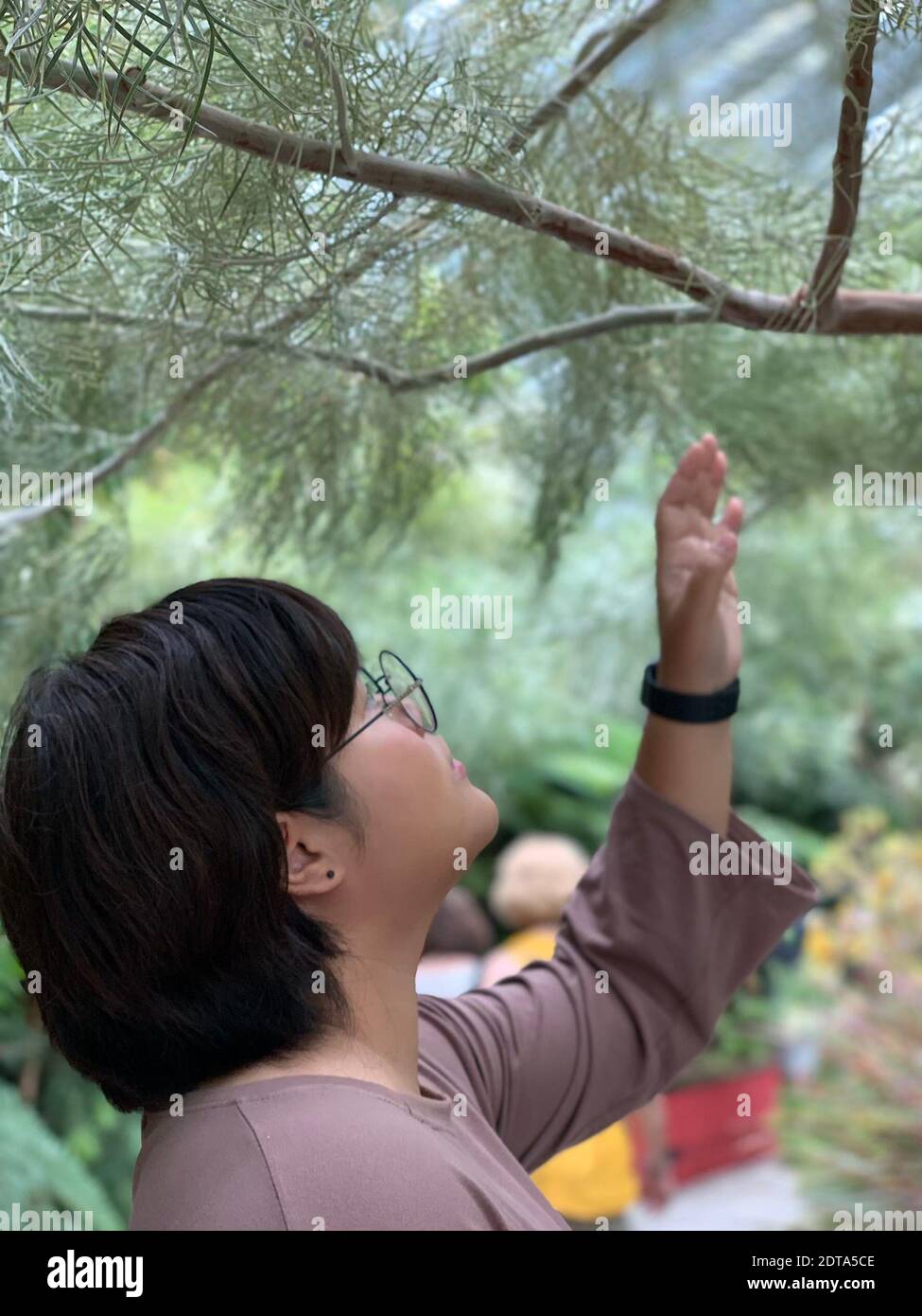 One woman touch tree branch hi-res stock photography and images - Alamy