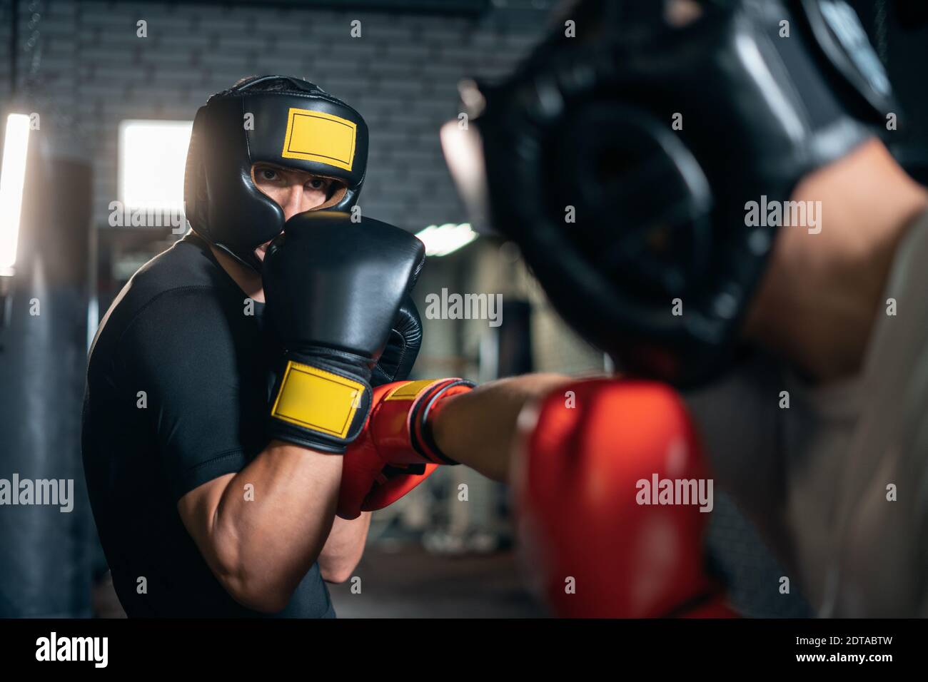 two muscle boxers sport man training and fighting on boxing ring at gym ...