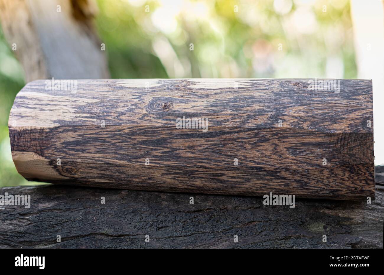 Ebony wood logs hi-res stock photography and images - Alamy