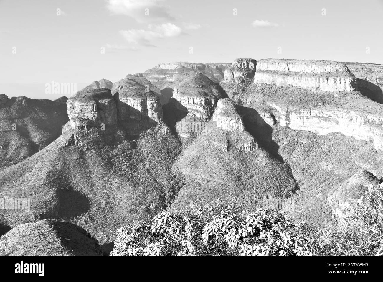 Rock pool ecosystem Black and White Stock Photos & Images - Alamy