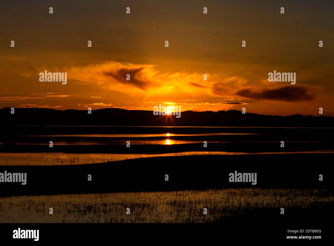 Ugii hi-res stock photography and images - Alamy