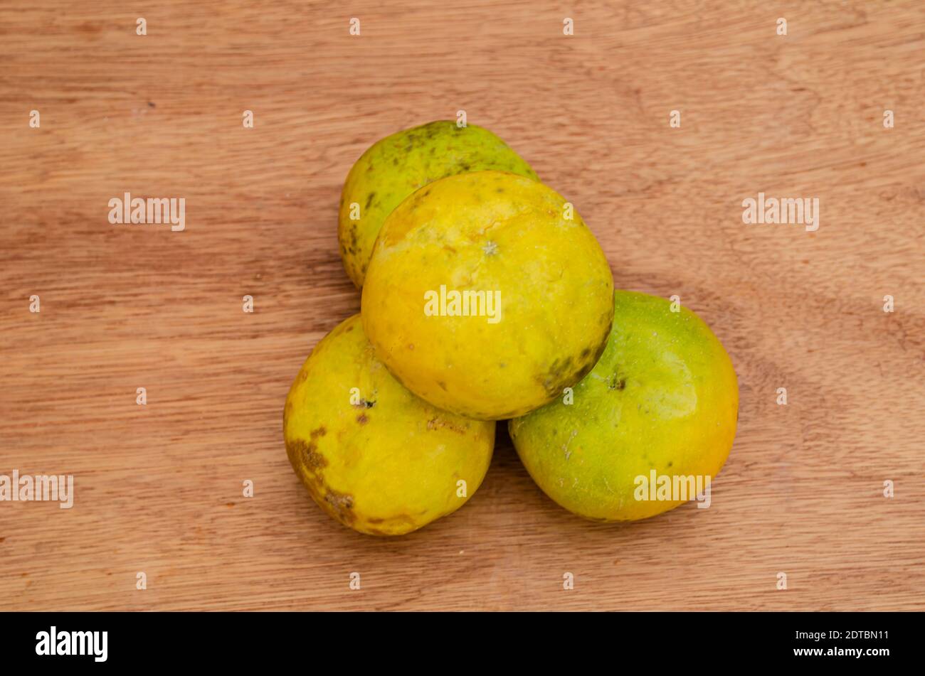 White sapote casimiroa edulis hi-res stock photography and images - Alamy