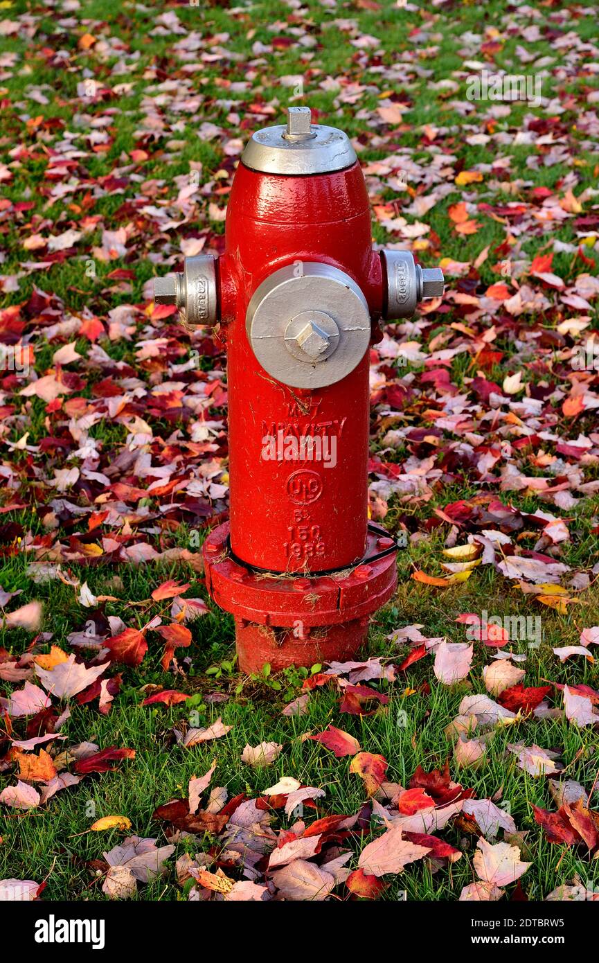 Fire hydrant cover hi-res stock photography and images - Alamy