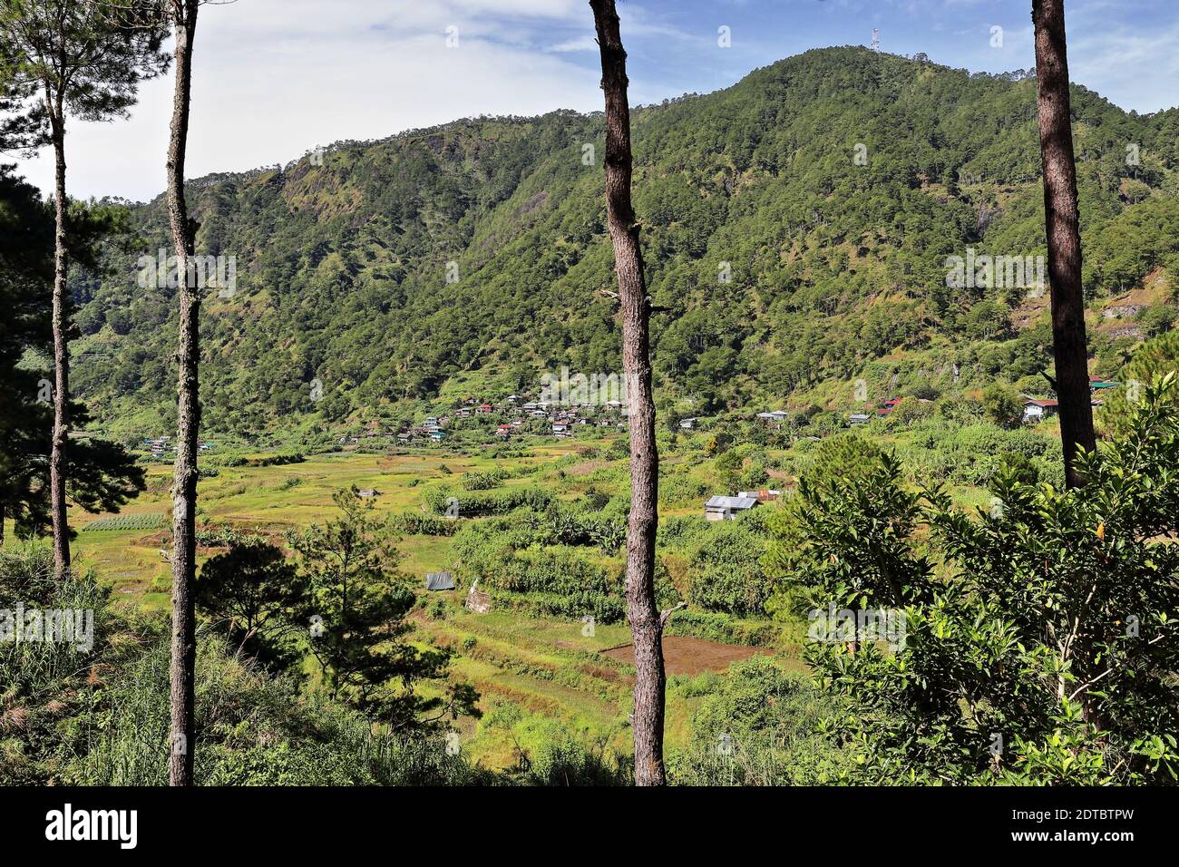 Agro Ecosystem High Resolution Stock Photography and Images - Alamy