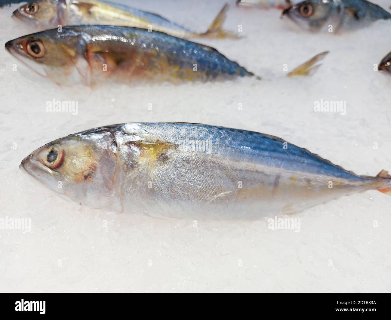 Raw dorado fish pattern hi-res stock photography and images - Alamy