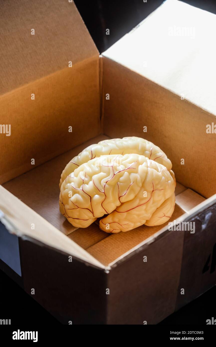 Brain and box hi-res stock photography and images - Alamy