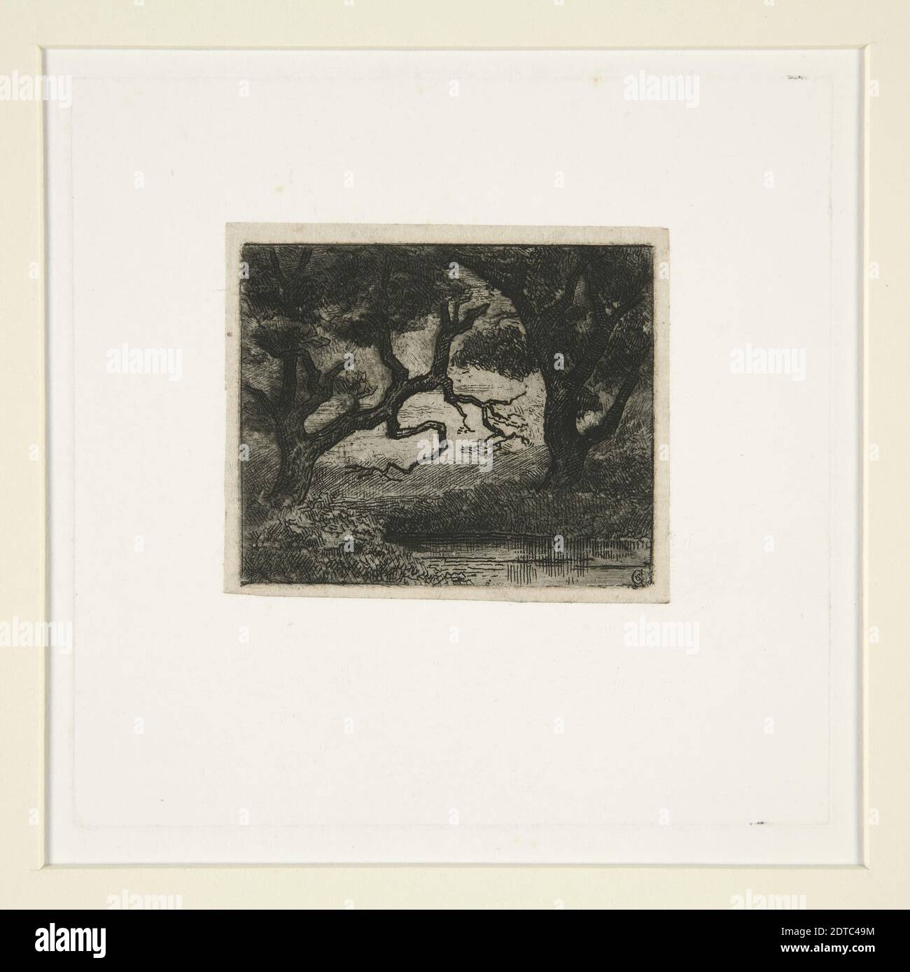Artist: Carel Nicolaas Storm van ‘s Gravesande, Dutch, 1841–1924, Two Trees, Etching, platemark ...
