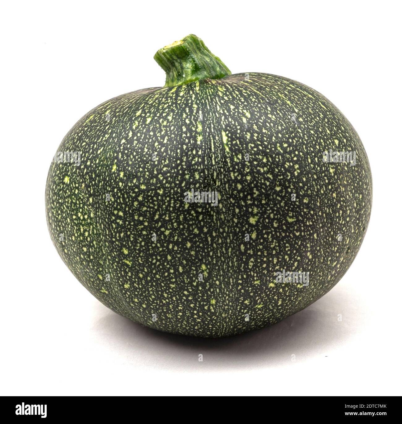 Round zucchini on a white background isolate Stock Photo - Alamy