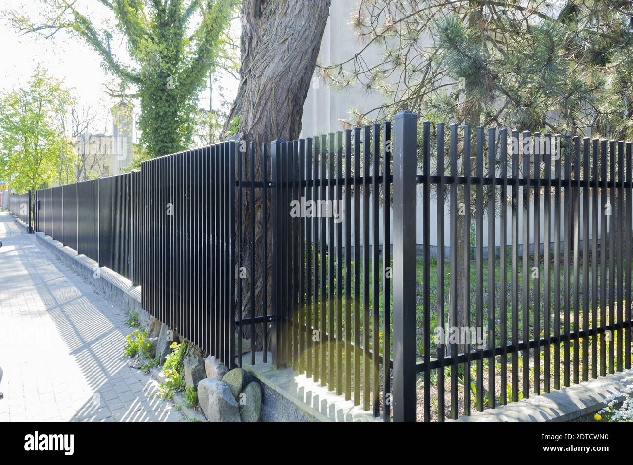 The fence is built around a tree. An old big tree growing as part of a ...