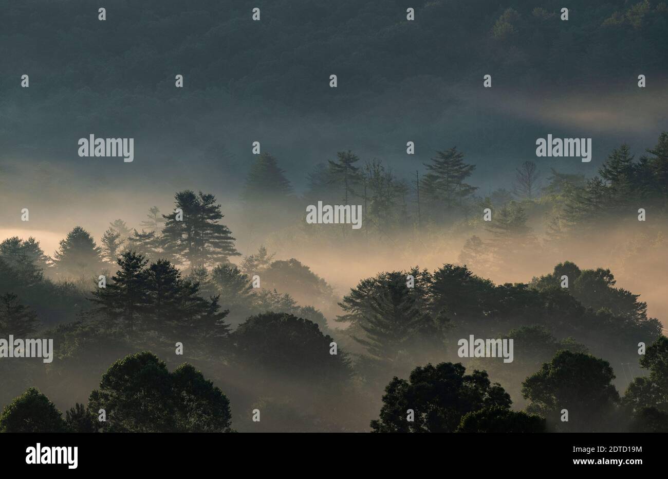 FOG IN THE HOLLOWS OF BLUE RIDGE MOUNTAINS, NORTHWEST GA, USA Stock ...