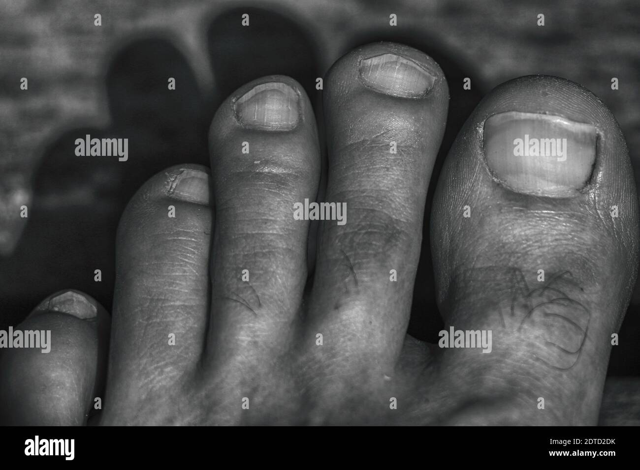 Human Toes High Resolution Stock Photography and Images - Alamy