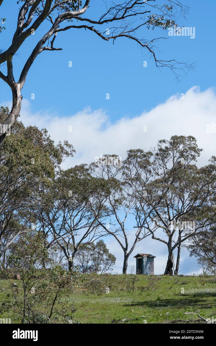 Hut among trees hi-res stock photography and images - Alamy