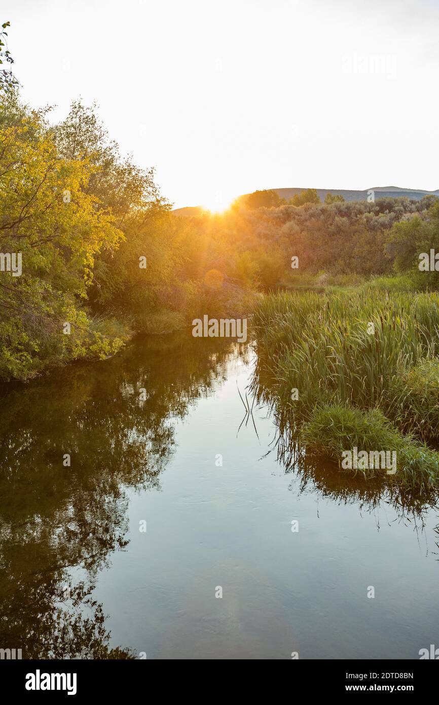 USA, Idaho, Bellevue, Trees reflecting in creek at sunrise Stock Photo ...