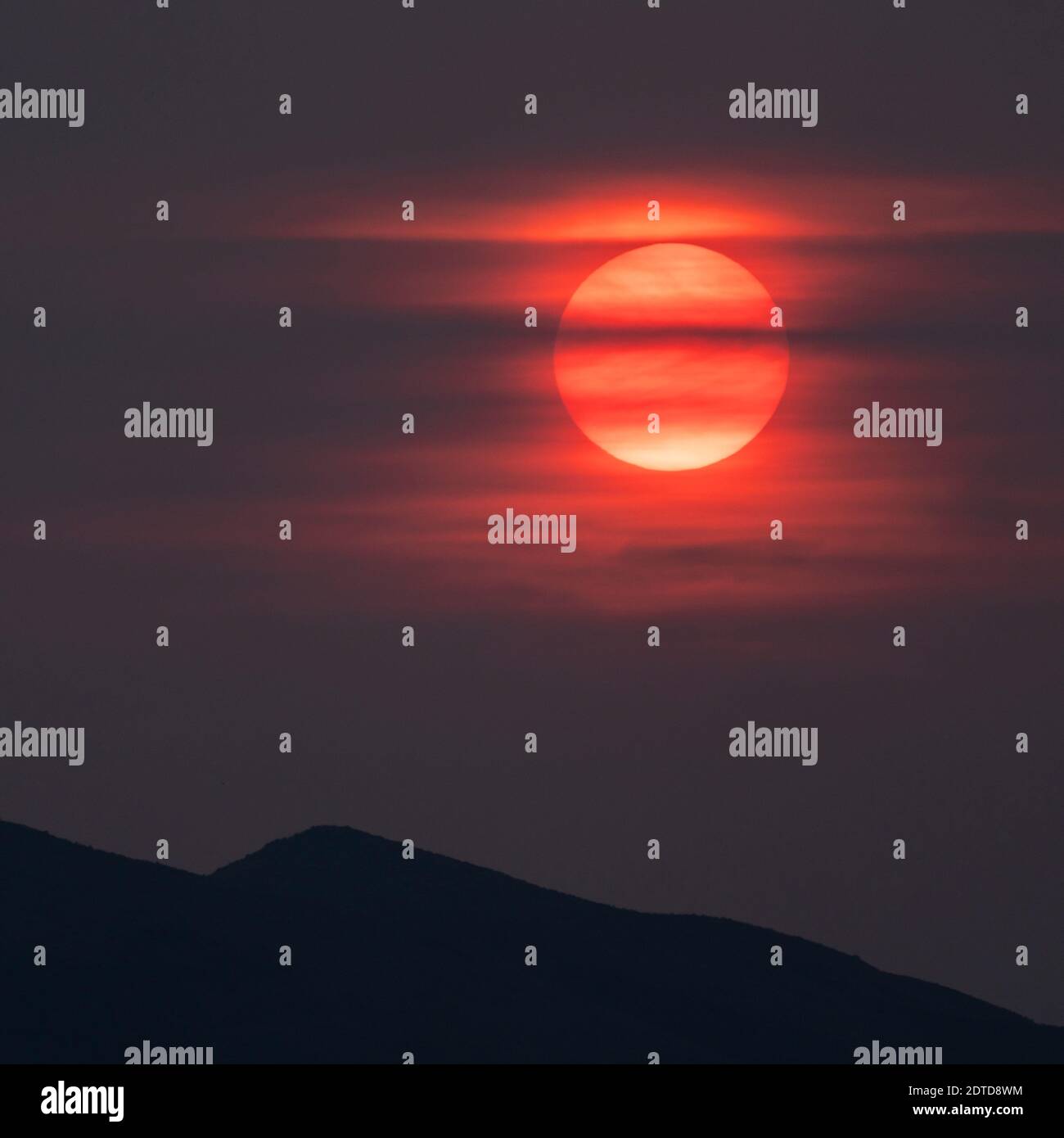 Bellevue nature hi-res stock photography and images - Alamy