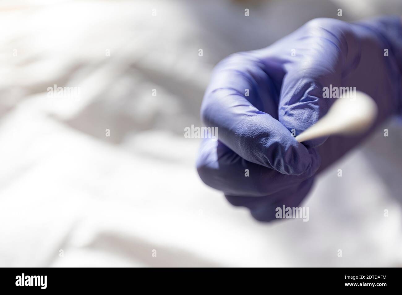 Close up of gloved hand holding sterile swab for Covid -19 testing ...