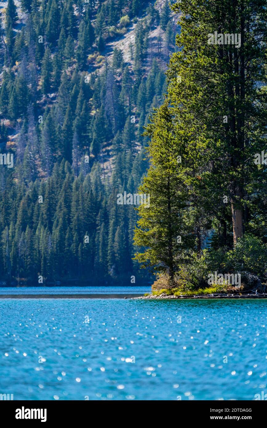 USA, Idaho, Stanley, Alpine lake and trees in Sawtooth Range Stock ...
