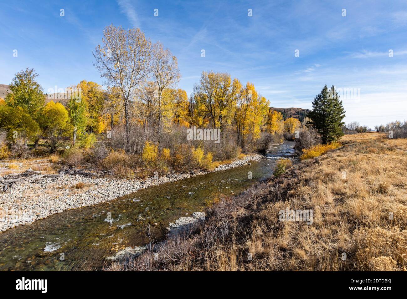 USA, Idaho, Sun Valley, Autumn landscape with river and yellow trees ...