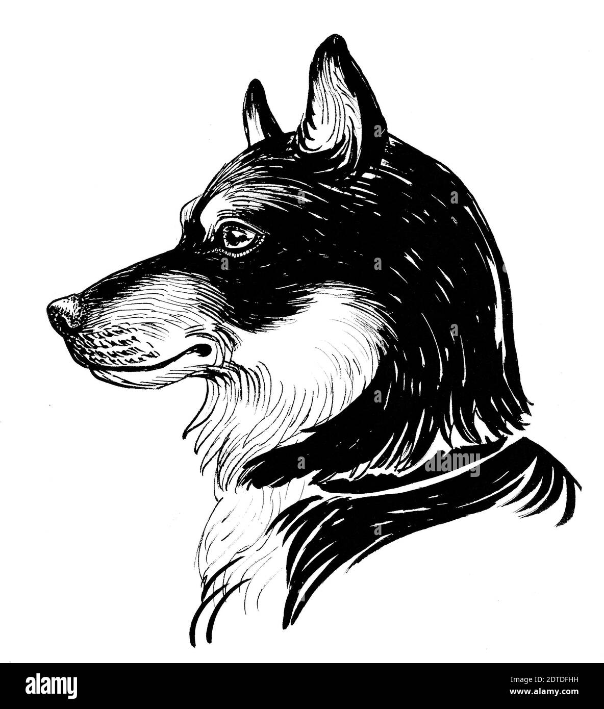 Dog Profile Drawing