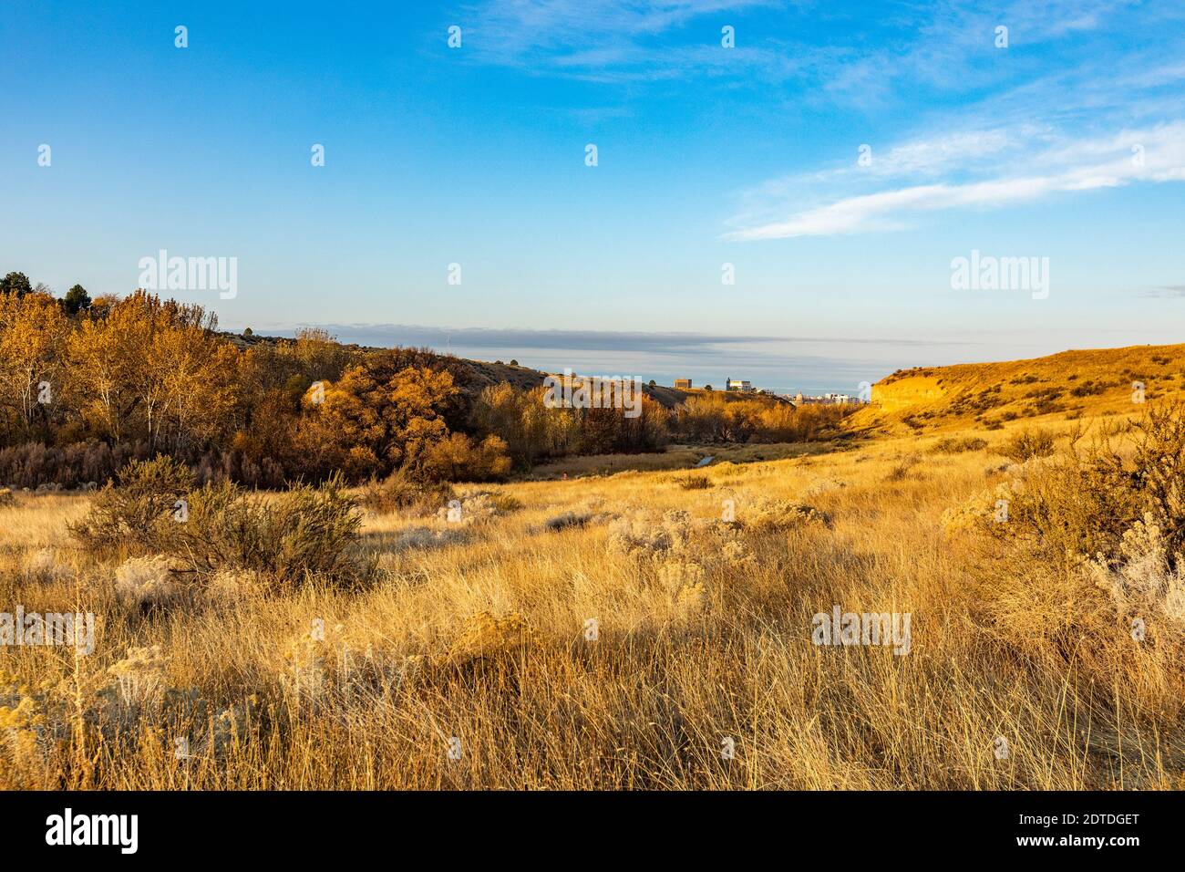 Tree nature autumn scenics hi-res stock photography and images - Alamy