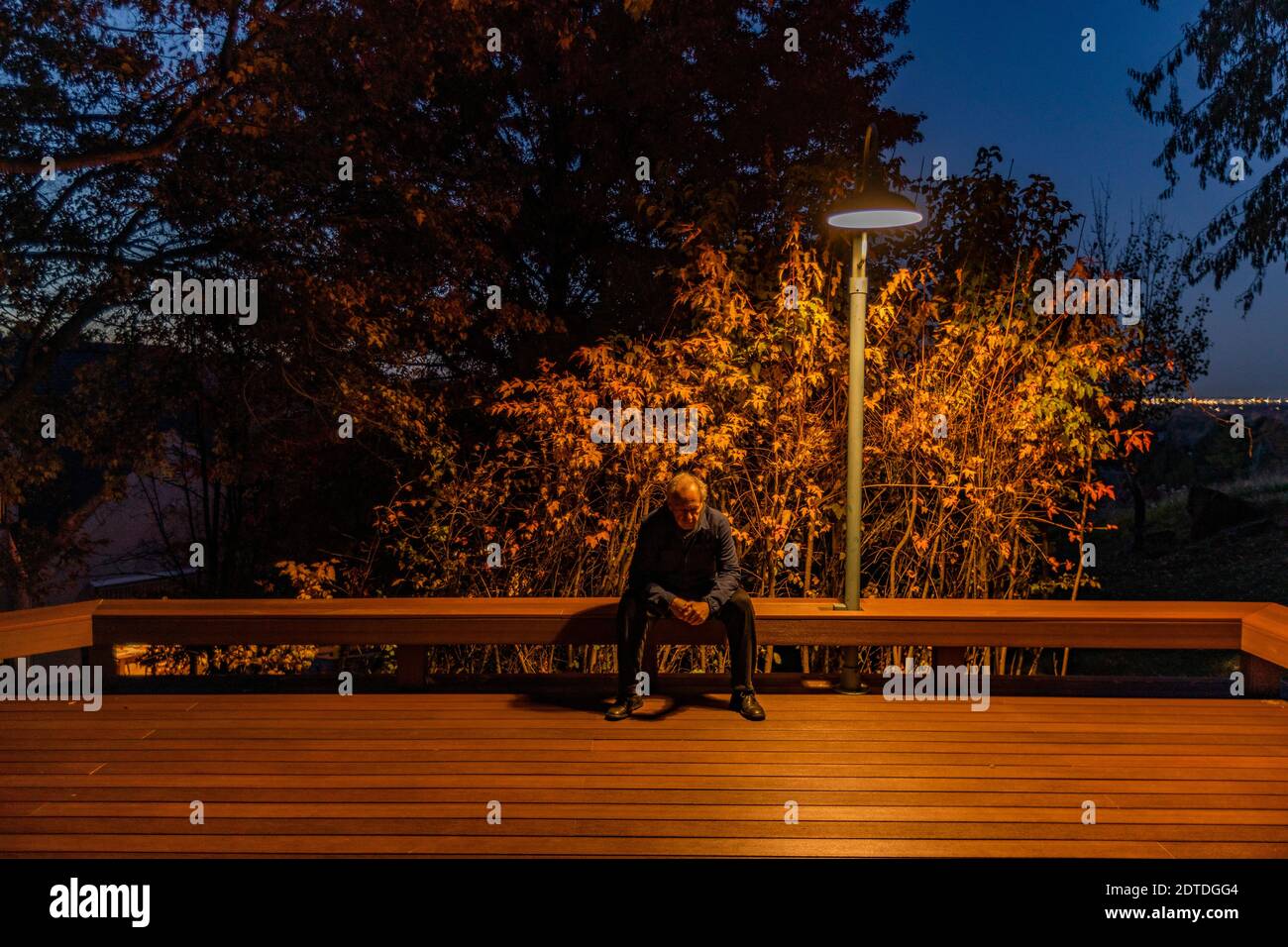 One person sitting under tree hi-res stock photography and images - Alamy