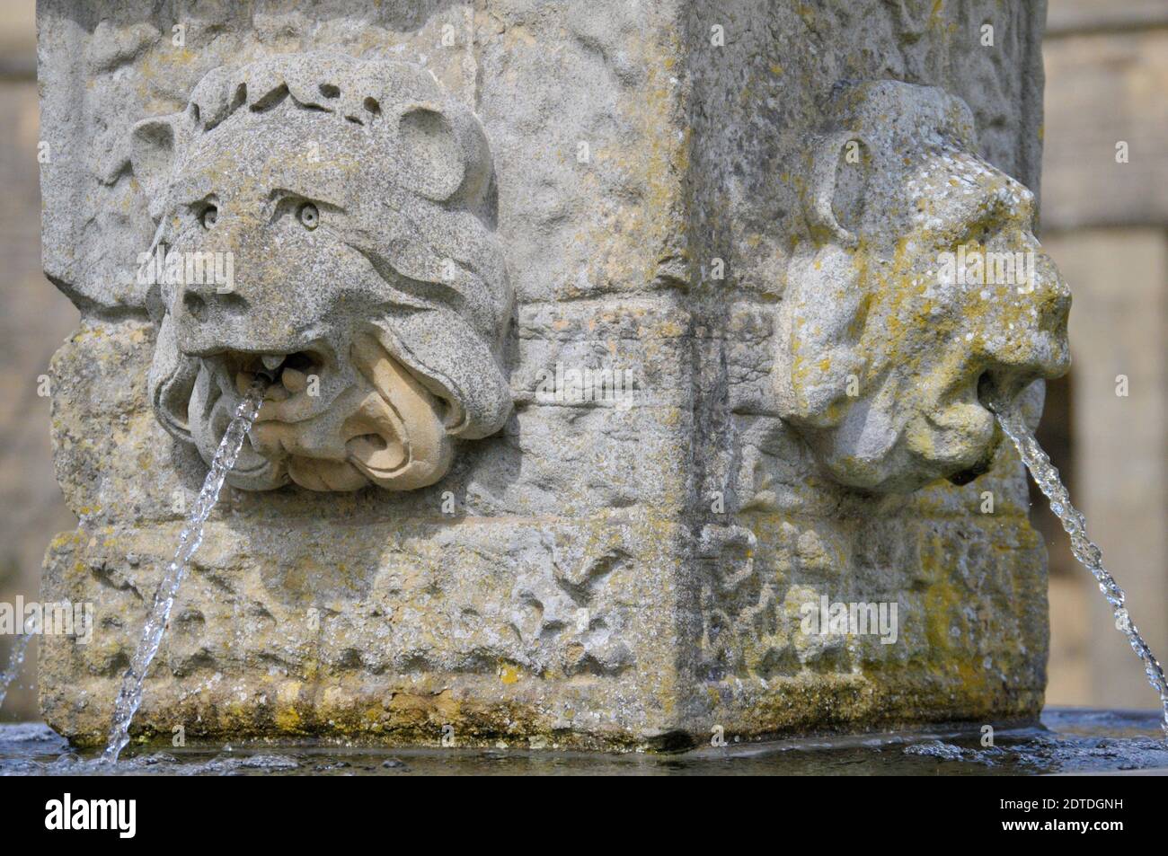 Lions Head Pool Water Features